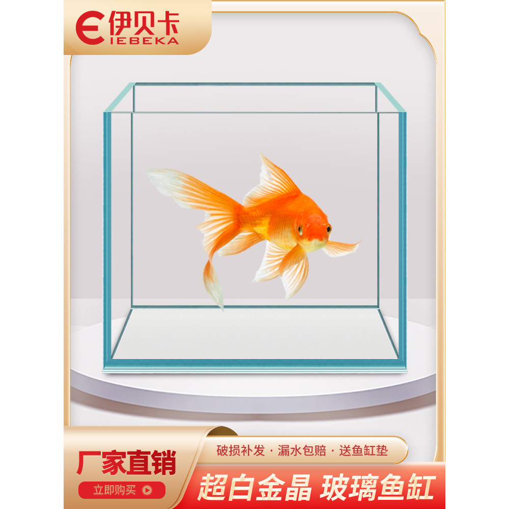 Tangki Ikan Kaca Ultra Jelas Emas Kristal Lima Baris 30×30 Tangki ...