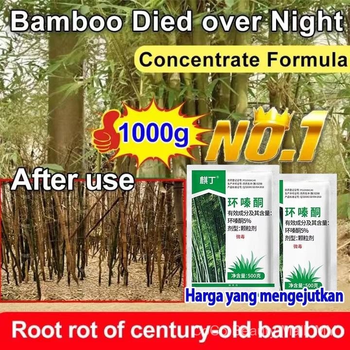 Root rot of century-old bamboo LL Bamboo killer 500g Racun pokok kayu ...