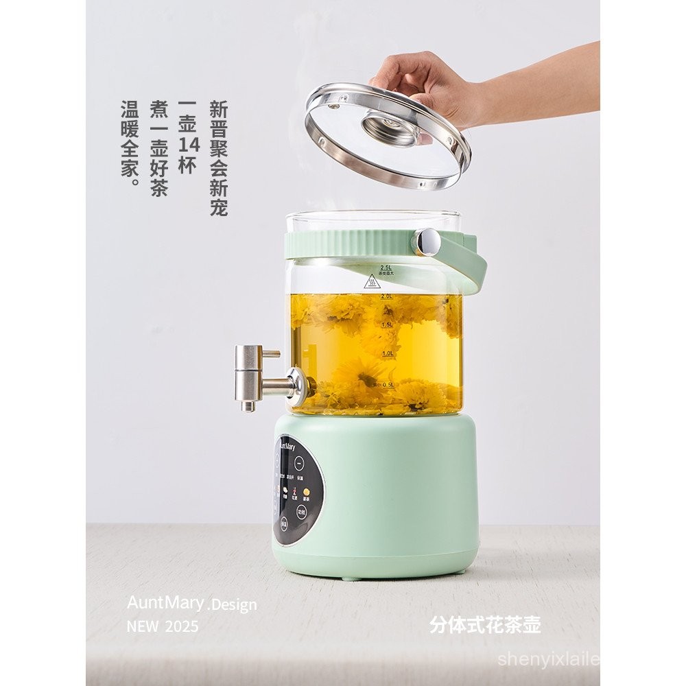 Auntmary Cerek Elektrik Baharu Kapasiti Besar Botol Mendidih Air Bunga ...