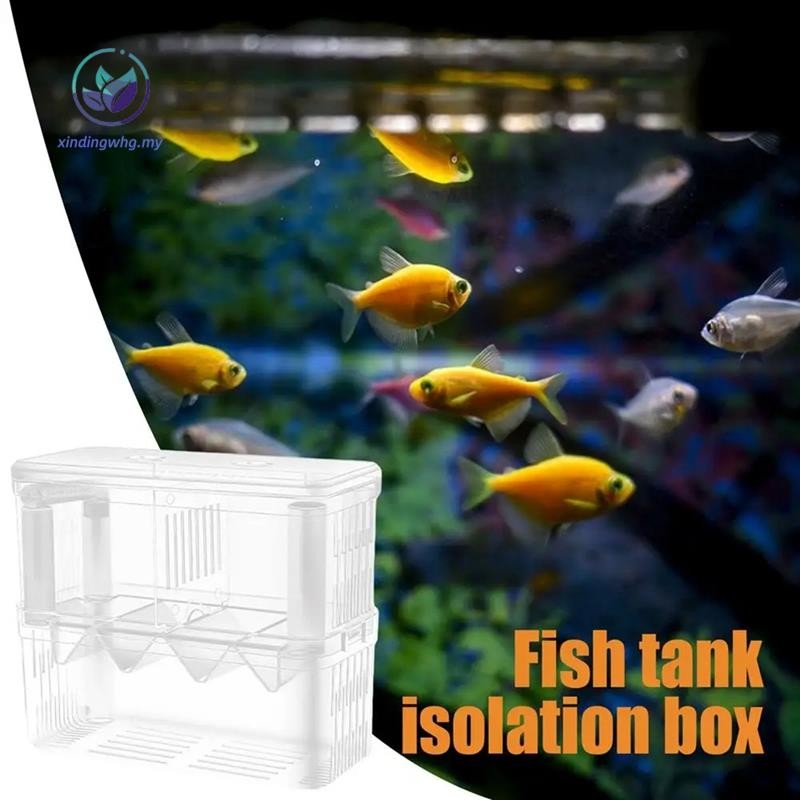 Fish Breeding Box Double-Layer Acrylic Breeding Tank Isolation Box ...