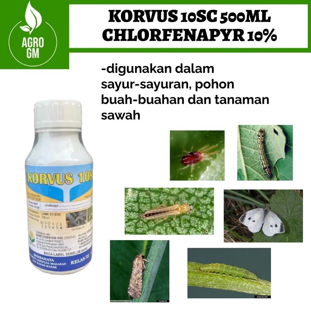 Korvus 10sc 500ml Racun Serangga CHLORFENAPYR 10% Racun Hama Merah ...