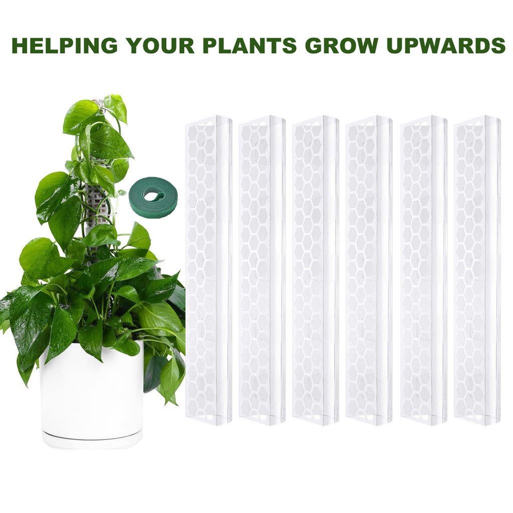 Vertical Plant Growth Support Semi-cylindrical Plant Support 6pcs ...