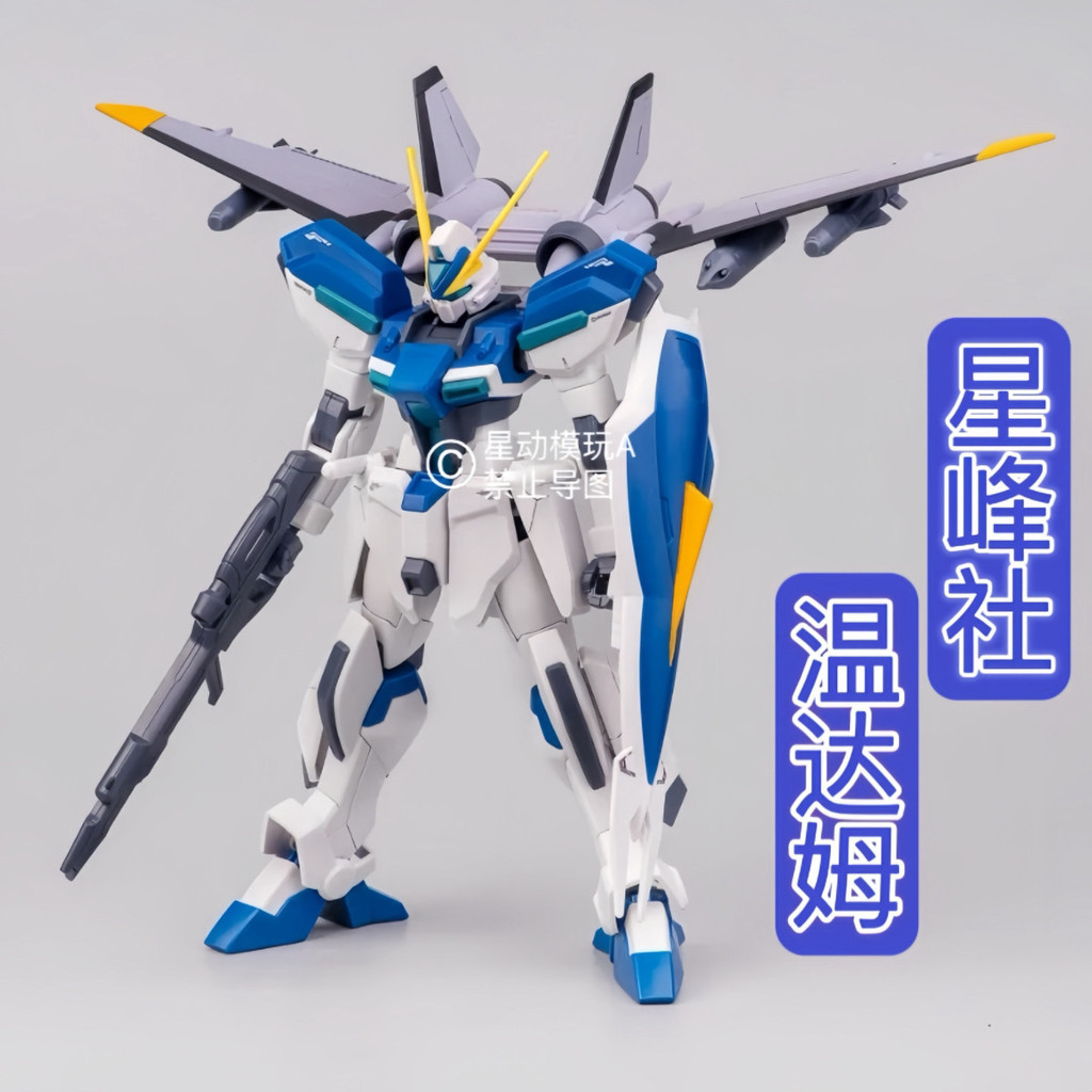 HG 1: 144 Dam Xingfengshe Miscellaneous Soldier Gundam Flight Backpack ...