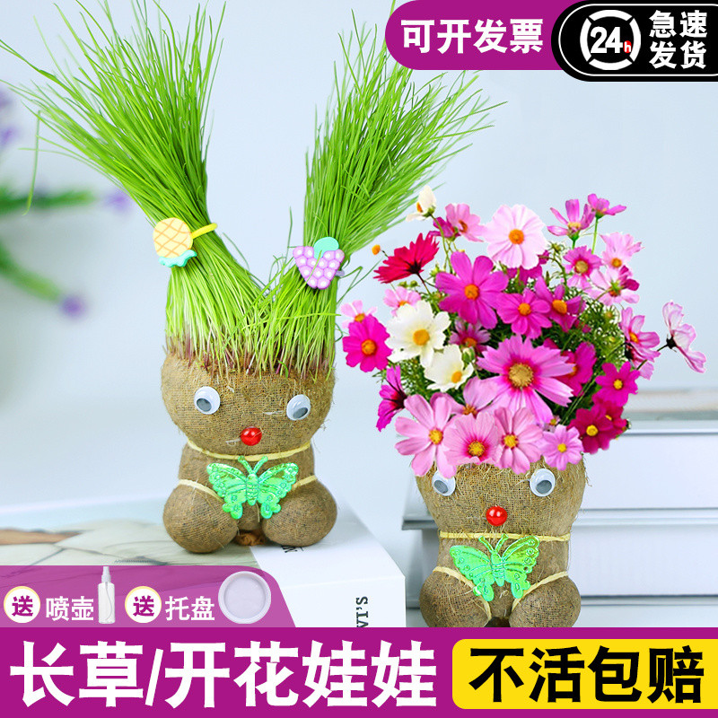 Mini kreatif Tumbuhan kecil DIY urusan kerja bonsai comel hiasan meja ...