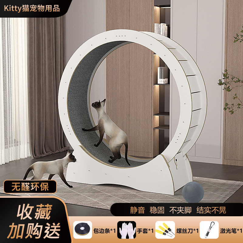 G Dia binatang pelihara kucing treadmill kosongkan stok kucing berlari ...