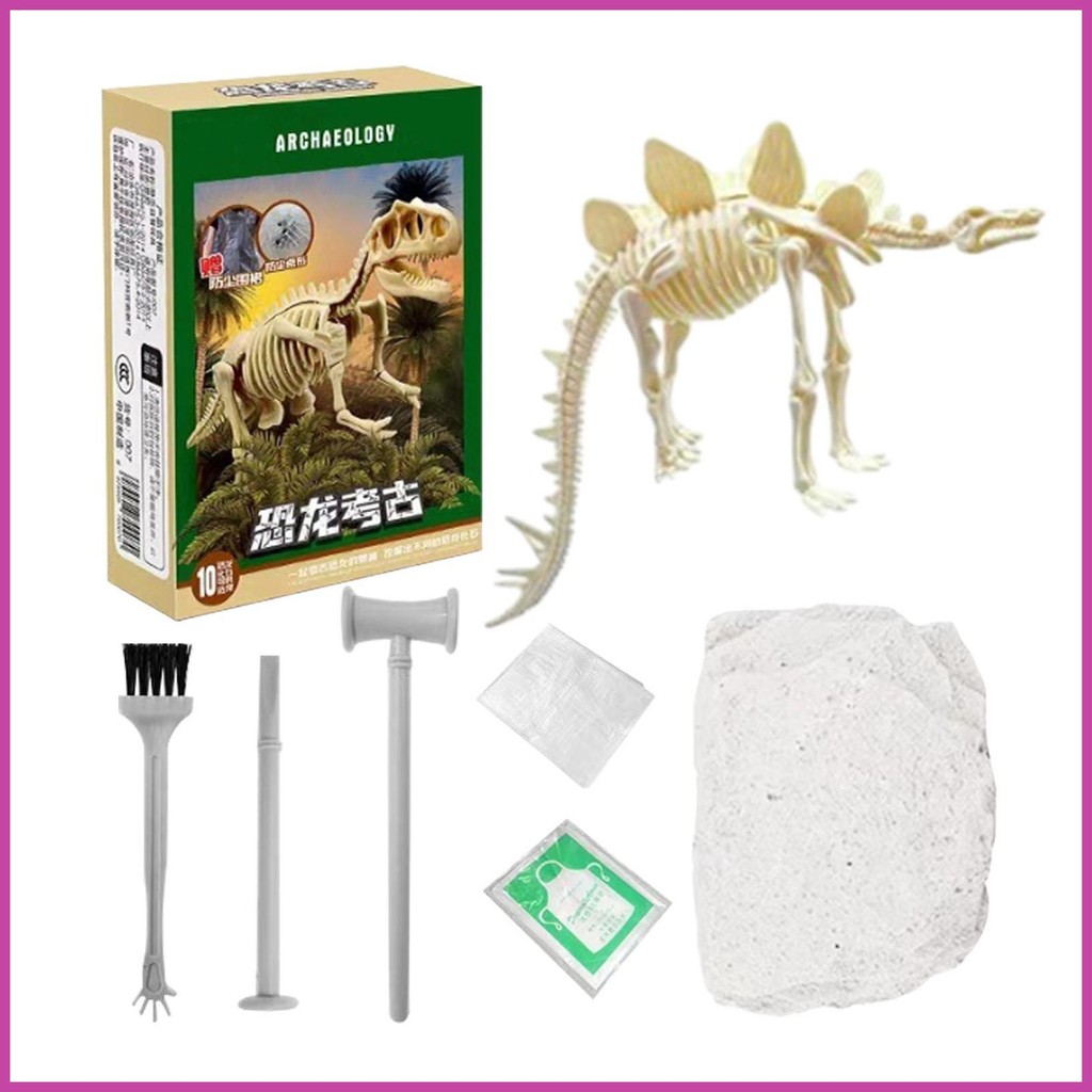 Dinosaur Digging Fossil Kit Dinosaur Skeleton Model Kit Dinosaur Fossil ...