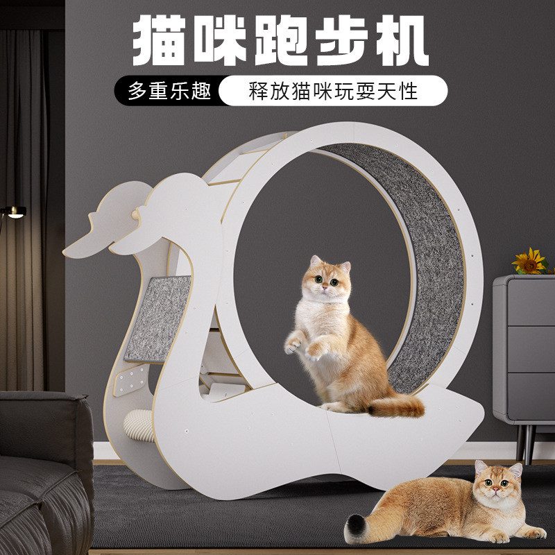 Swan kucing treadmill kucing roda berputar kecergasan alat hebat Amazon ...