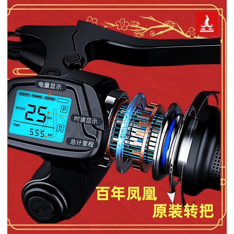 Basikal Elektrik Phoenix Alat Khusus Kawalan Kelajuan Pendikit Pemegang ...