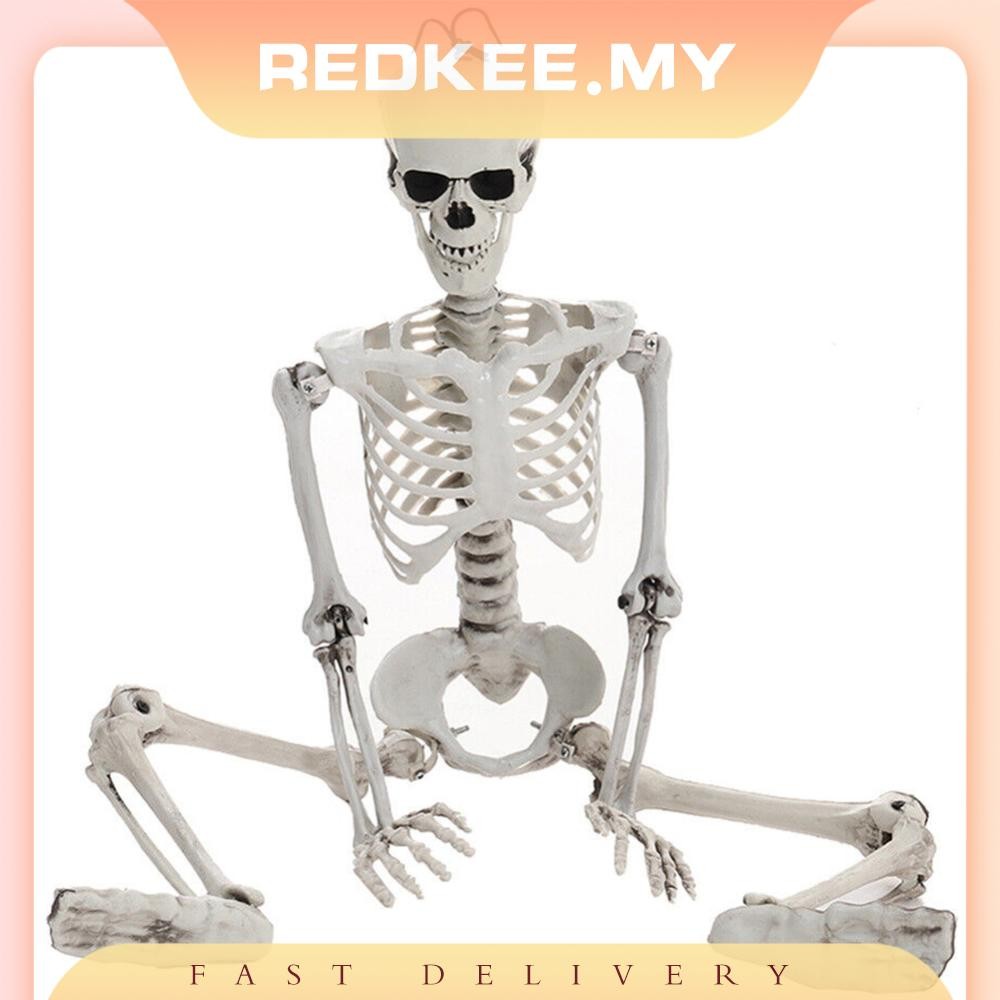 [Redkee.my] Full Size Fake Human Skull Bones Poseable Horror Halloween ...