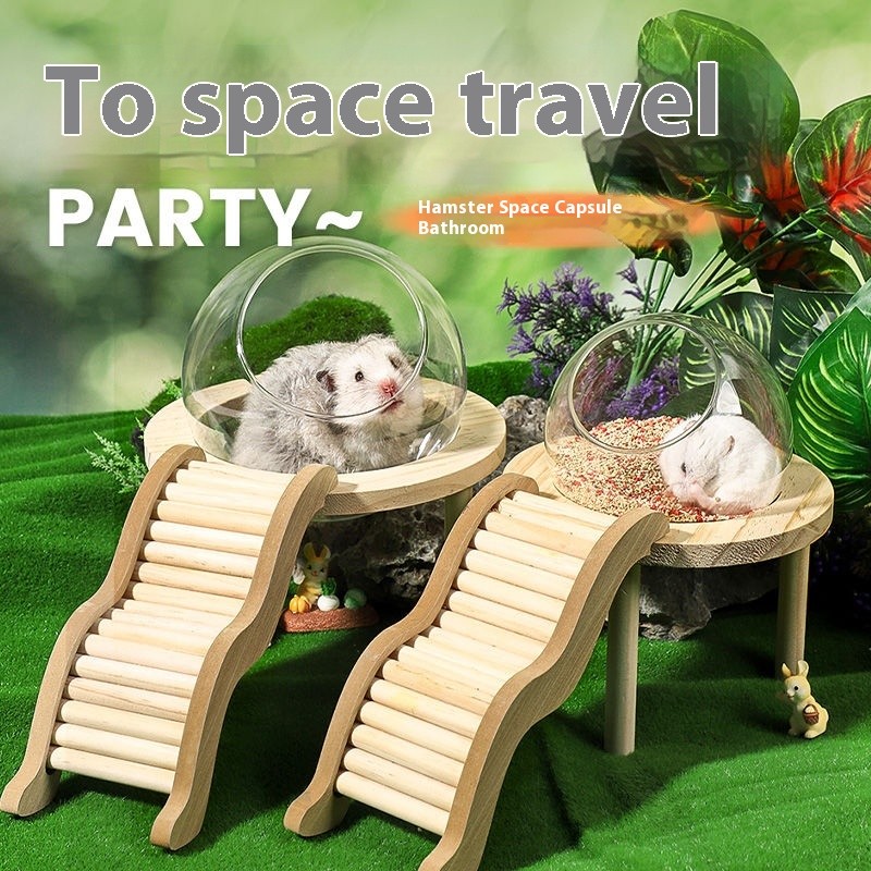 Hamster Space Capsule Glass Bathroom Golden Bear Transparent Toilet ...