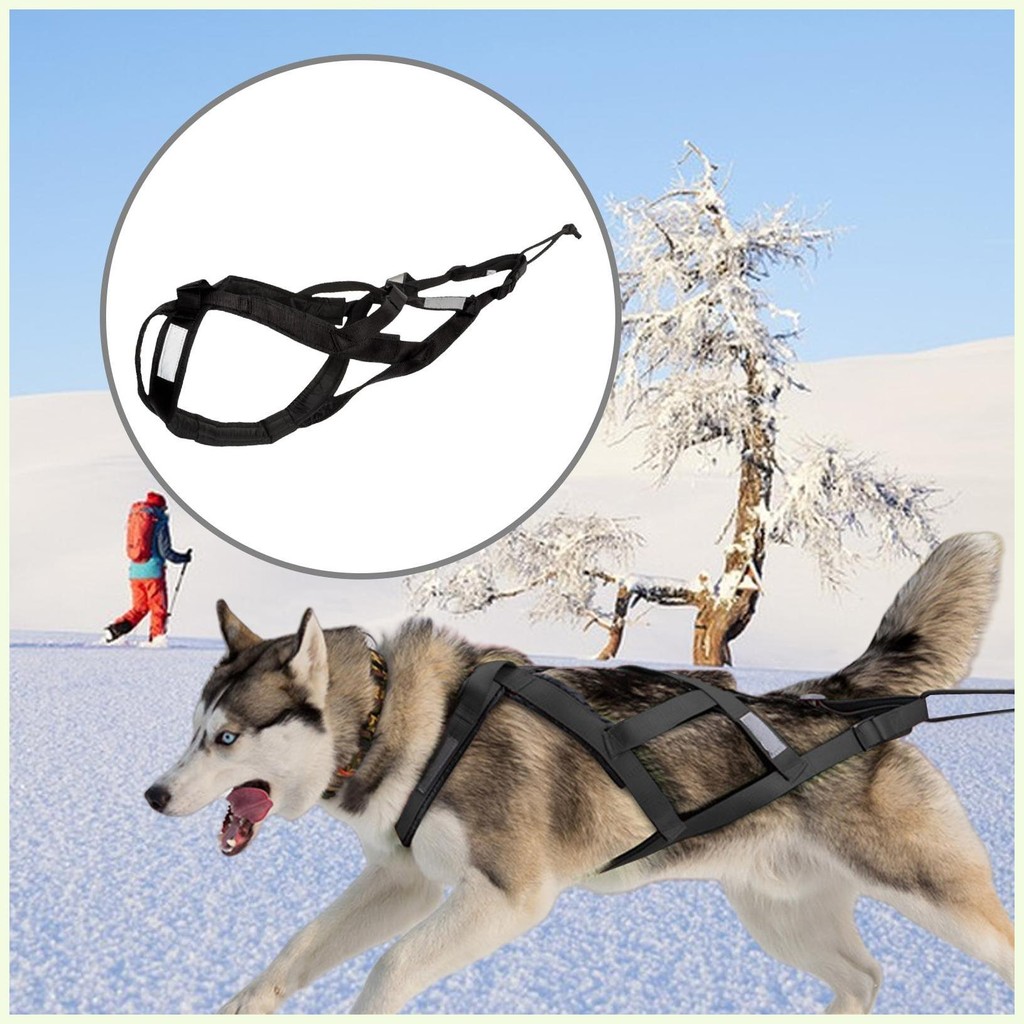 Dog Sled Harness for Pulling Mushing Harness Dog Sled Reflective Strap ...