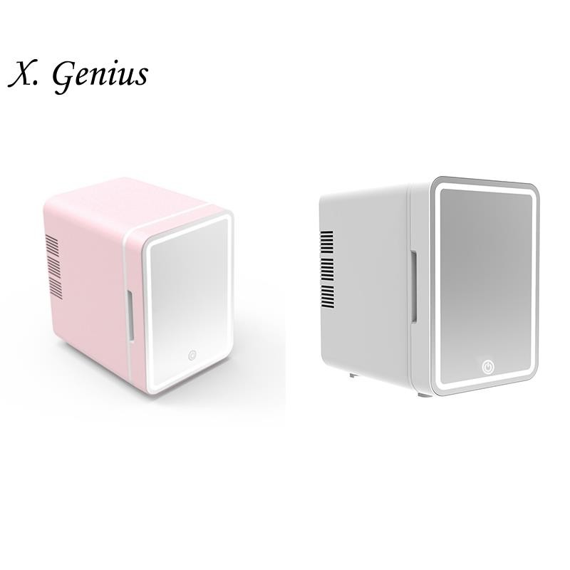 6L Makeup Fridge with LED Light Mirror Mini Fridge for Bedroom Car ...