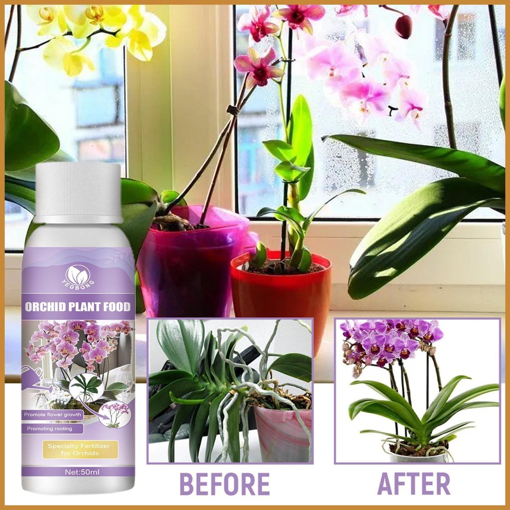 Fertilizer Solution Orchid Orchid Fertilizer Plant Food Liquid Plant ...