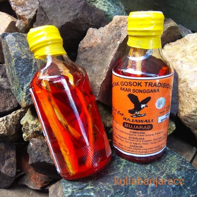 Minyak Akar Songgana Obat Urut Ampuh Ukuran Sedang | Shopee Malaysia