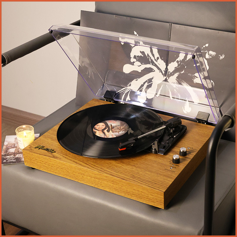 Gramophone Style Vinyl Records Vintage Turntable with Wooden Speaker Hi ...