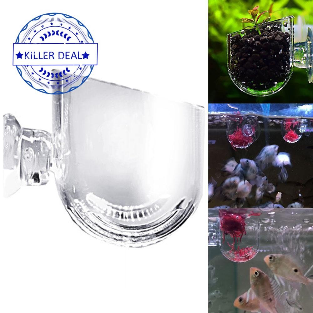 Fish Tank Automatic Feeder Glass Feeding Cup Fish Feeder Timed Shrimp ...