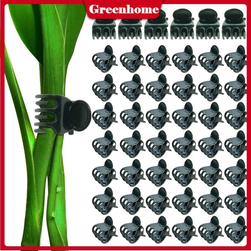20/100/200PCS Plant Fixed Clips Orchid Flowers Support Clamp Garden ...