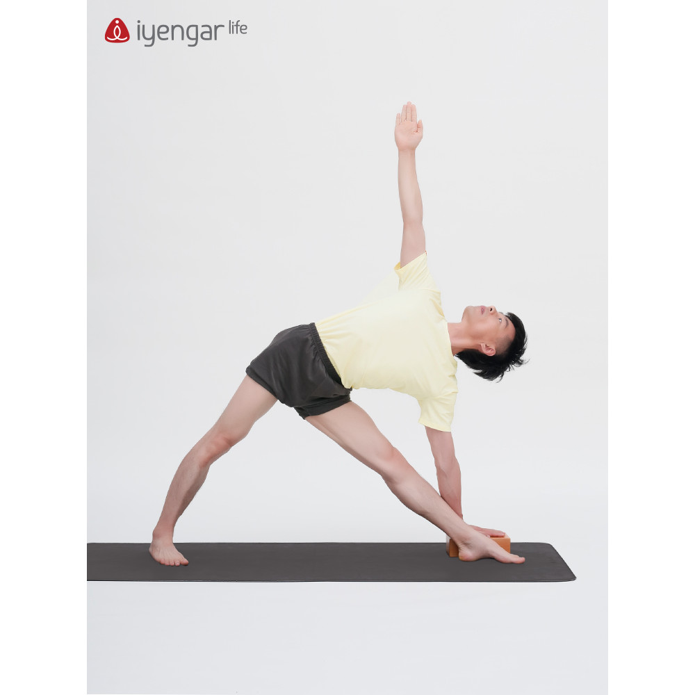 Iyengar Life Set Pemakaian Amalan Yoga Baharu Pakaian Kelas Lelaki Logo ...