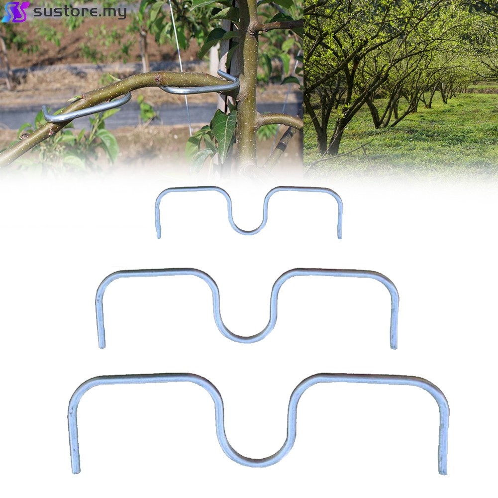 [Super] 50pcs M-Shaped Fruit Tree Branch Dividers - Portable Tools ...