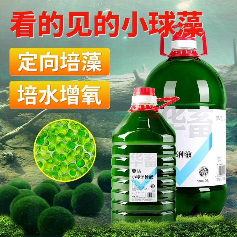 Aquarium chlorella algae concentrated algae compound algae fertilizer ...