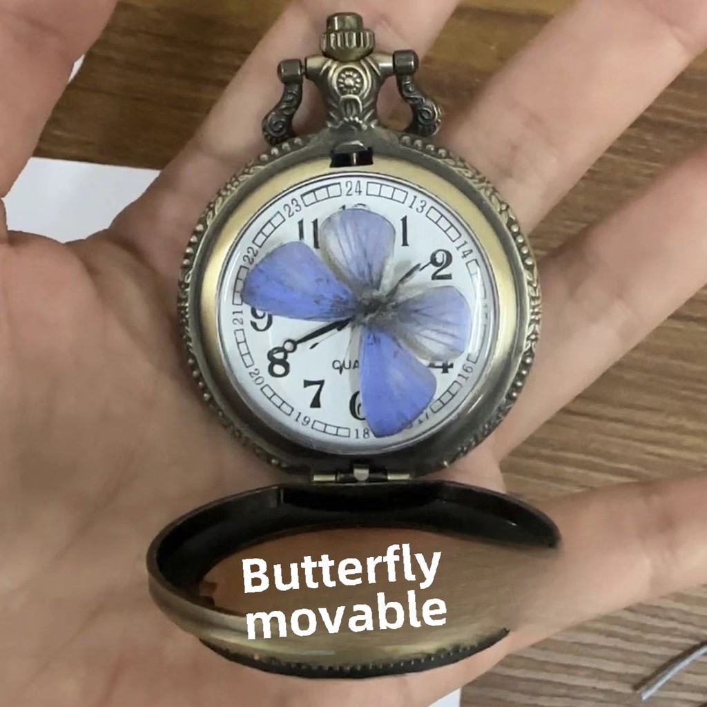 [Stok baca] jam poket rama-rama dapat dilihat, spesimen rama-rama ...