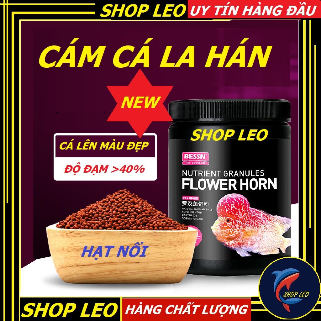 Bessn Arhat fish food - bran to color Arhat fish BESSN Flower Horn ...