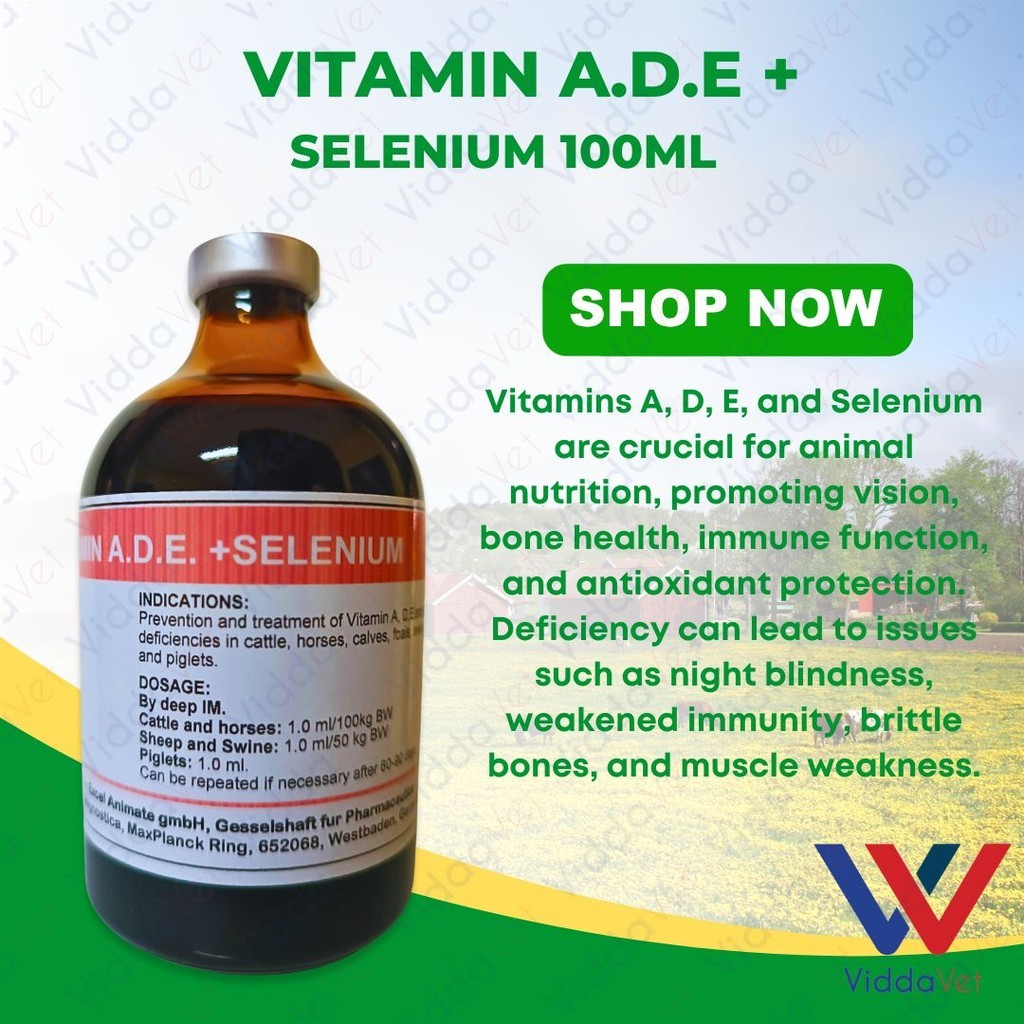 Optimal Health Support: Vitamin ADE + Selenium 100ML | Shopee Malaysia