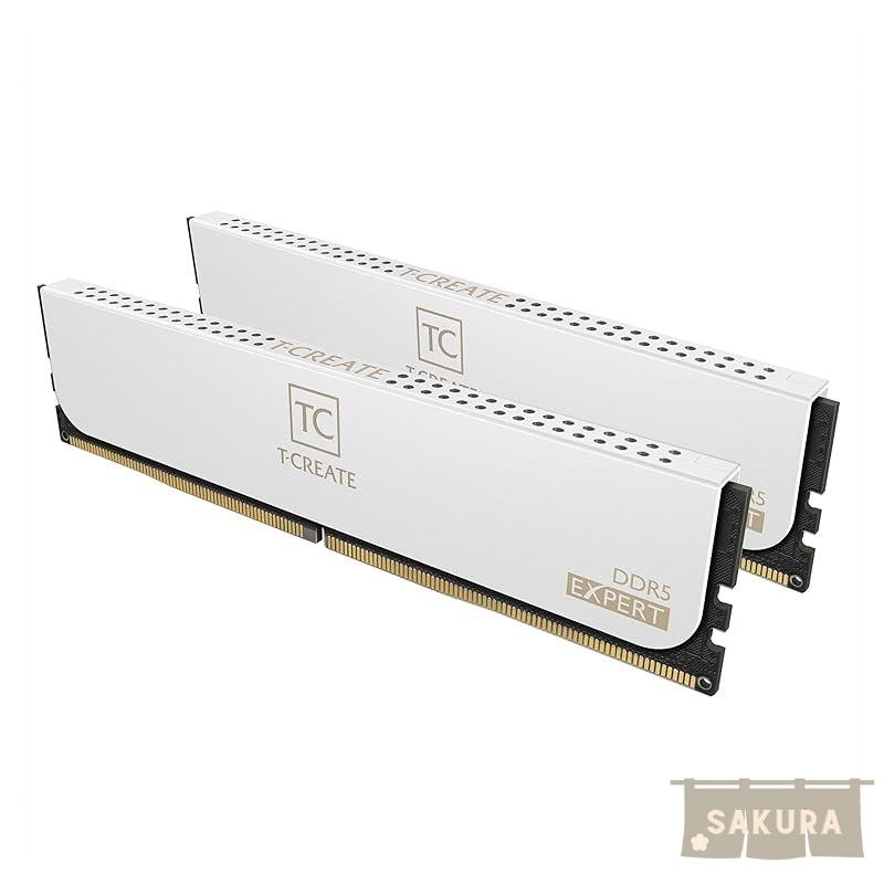 TEAMGROUP T-Create Expert Overclock 10L DDR5 32GB Kit (2 x 16GB ...