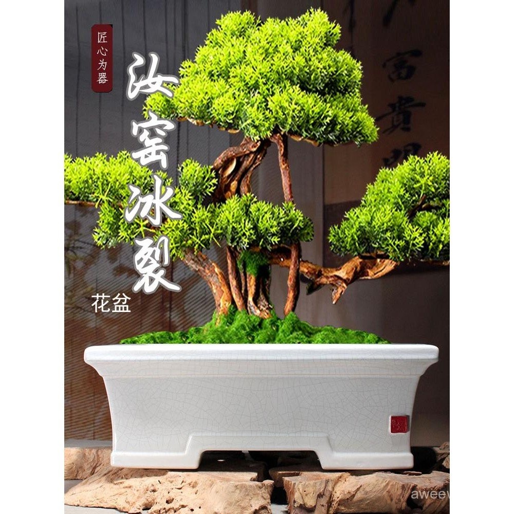 Periuk Bunga Segi Empat Lebih Besar Seramik Bonsai Manger Periuk ...