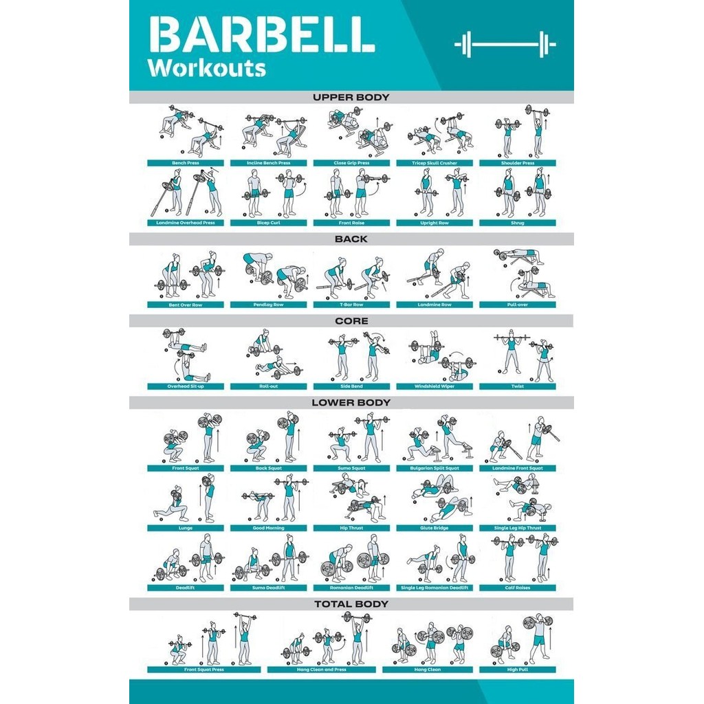 Barbell Workout Exercise Poster for Home Gym Exercise Posters for Full ...