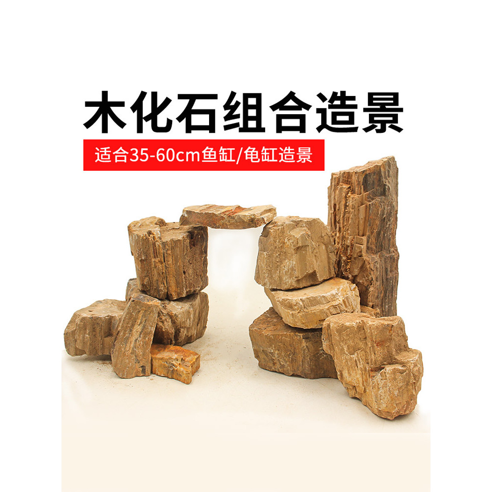 Kayu Terfosil Tangki Ikan Batu Asli Hiasan Bonsai Rockery Semulajadi ...