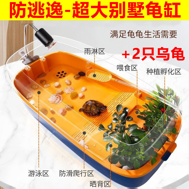 Special Tank for Raising Turtles Turtle Tank Household with Lid ...