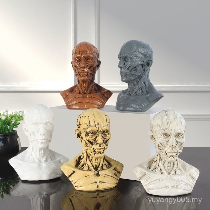 1: 3 Art Use Human Body Muscle Bone Head Carving Skull Skull Painting ...