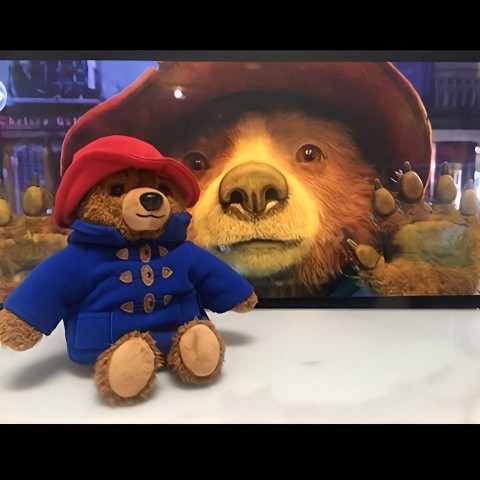 Paddington Bear 3 Plush Doll Teddy Bear Ragdoll Movie Same Style ...