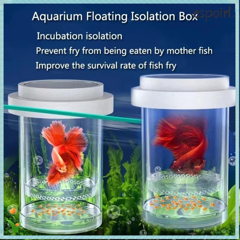ESPOIR Floating Hatching Box, Plastic Mesh Aquarium Breeder Floating ...