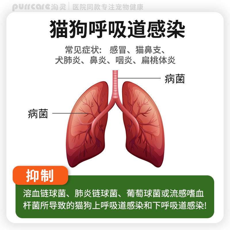 Amosilin Tablets Pets Dogs Cats Intestinal Inflammation Diagnosis ...
