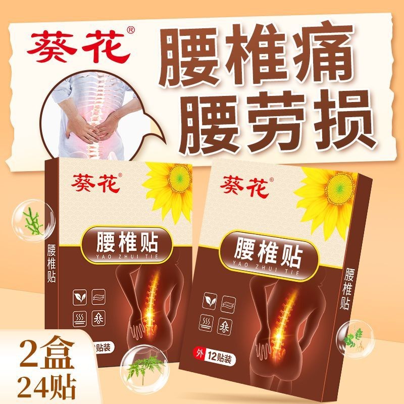 Sunflower Lumbar Spine Pain Lumbar Disc Protrusion Dedicated Cream ...