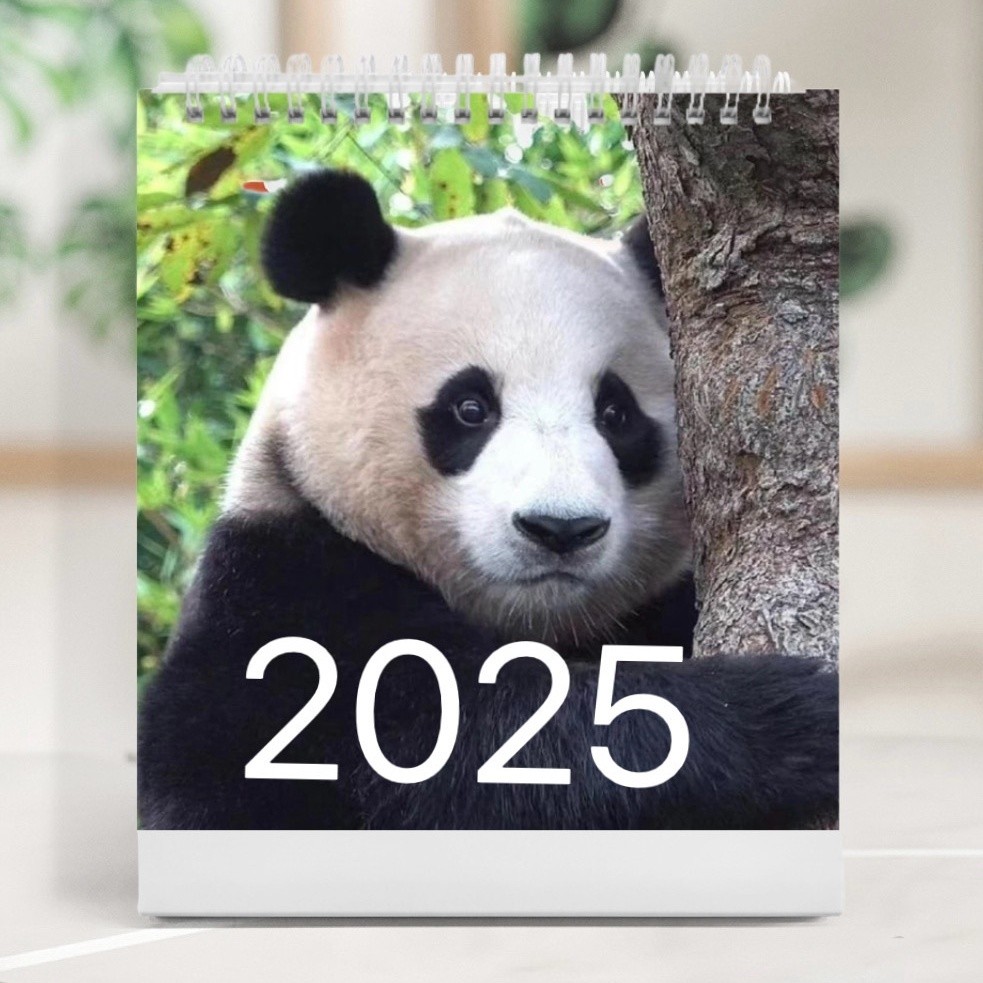 Fubao Desktop Calendar Panda 2025 New Style Merchandise Desktop Gift ...