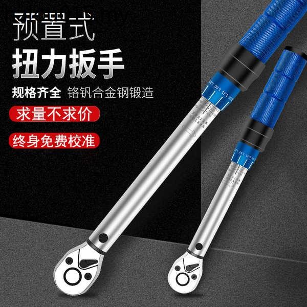Ratchet Wrench Voltage Torque Wrench Preset Adjustable Torque Road Bike ...