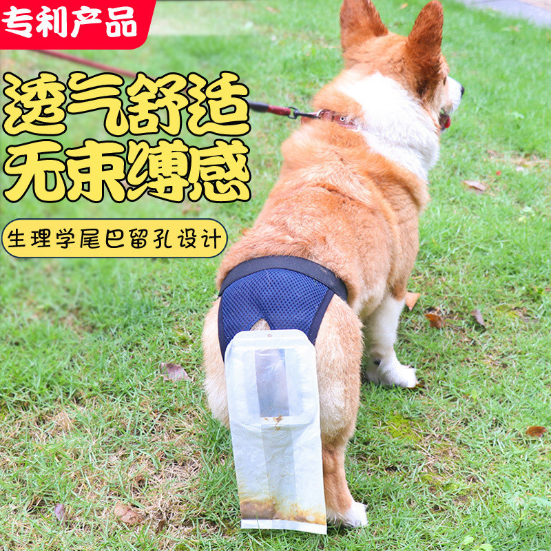 [1749 People Collection] Dog Poop Picker Dog Poop Picker Disposable Dog ...