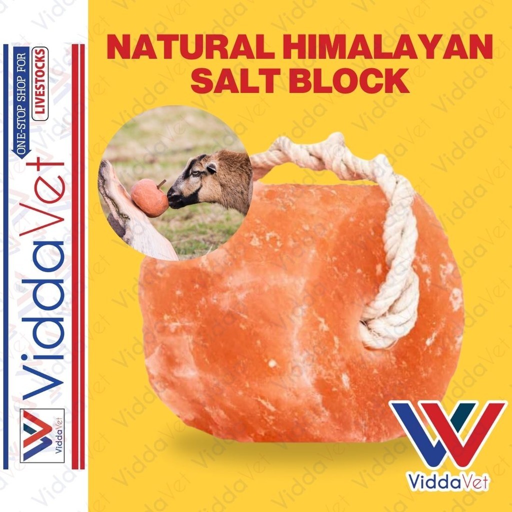 viddavet Natural Himalayan Salt Block Essential Mineral Source for ...