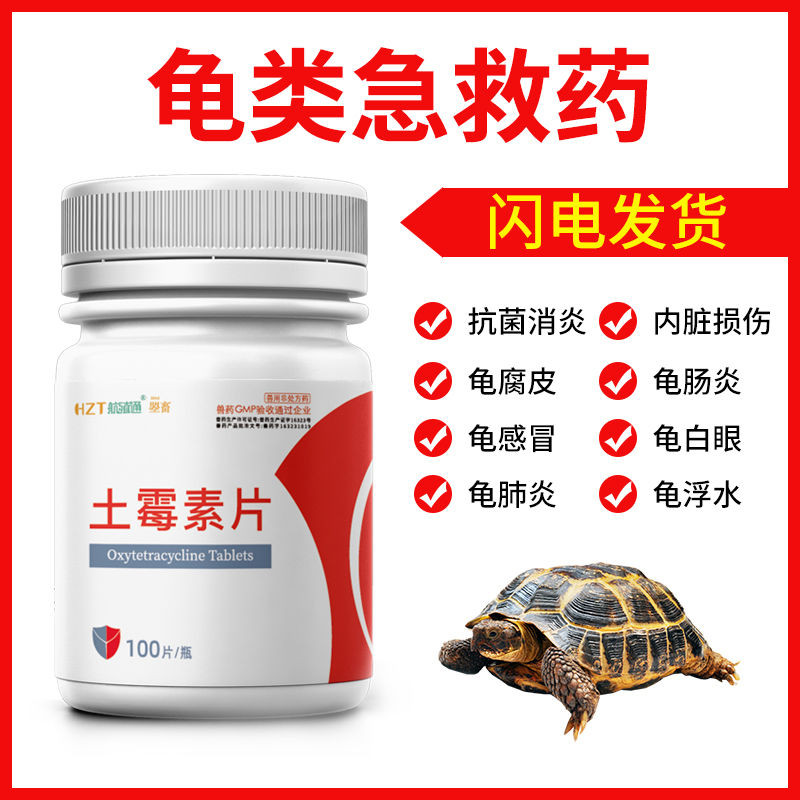 Turtles Use Soil Mold Aquatic Rotten Body Inflammation Pneumonia White ...
