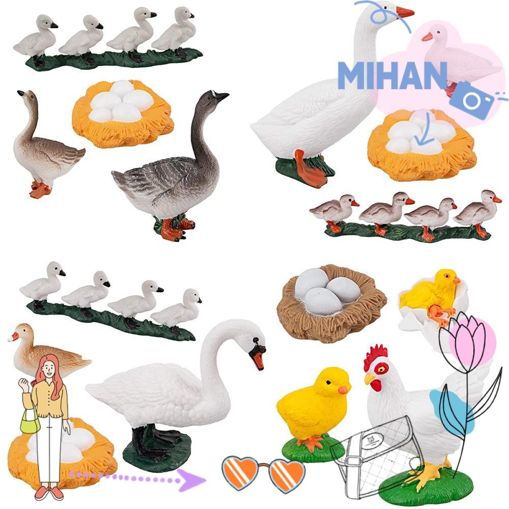 MIHAN Animals Growth Cycle Kids Toy Life Cycle Butterfly Model | Shopee ...
