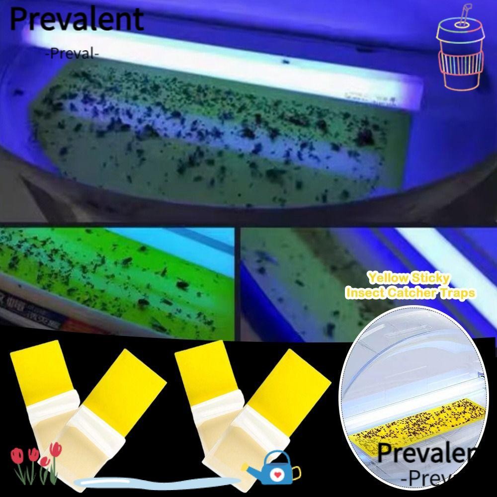 PREVAL 30pcs Yellow Sticky Insect Catcher Traps, Wasp Mosquito lamp ...