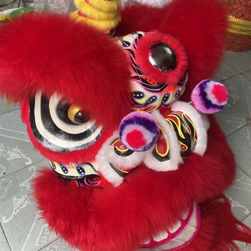 Lion Dance Nanshi Foam Wool Lion Head Full Set Lion Dance Buddha Lion ...