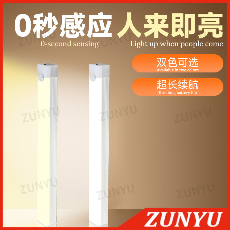 LED intelligent human body induction light with wireless charging ...