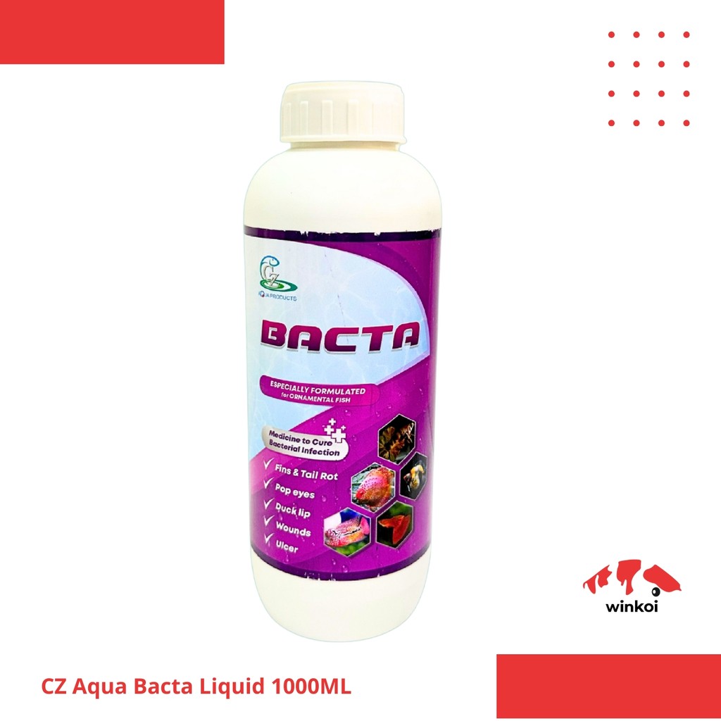 Bacta Liquid Antibiotic Bacterial Infection for ornamental goldfish koi ...