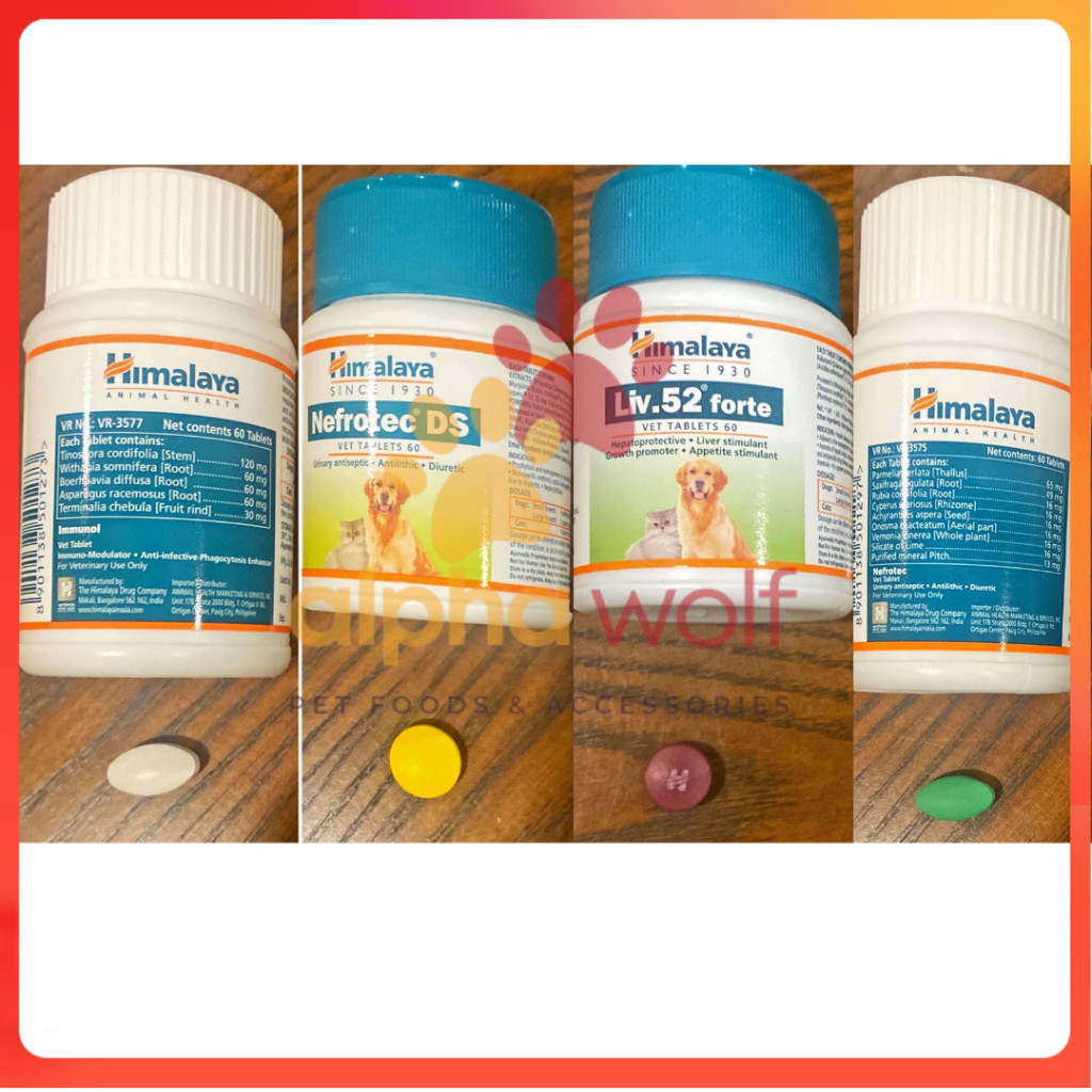 Himalaya Nefrotec DS, Immunol , Liv 52 Forte per Tablet Piece | Shopee ...