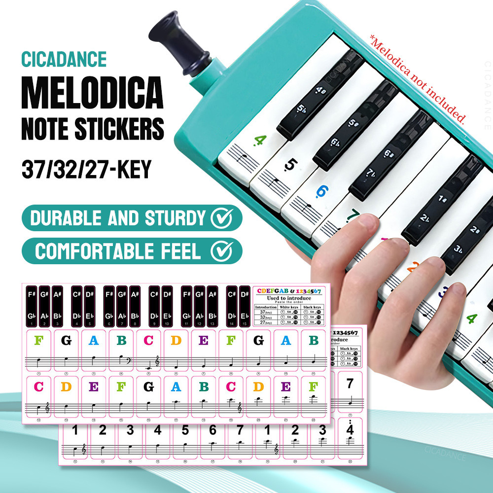 Piano/Melodica Keyboard Sticker 37/32/27 Keys Removable Transparent ...