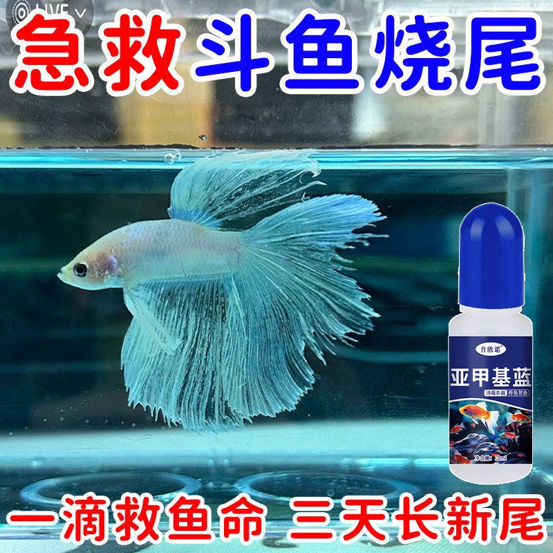 Methylene blue solution for aquarium disinfection Aquarium ornamental ...